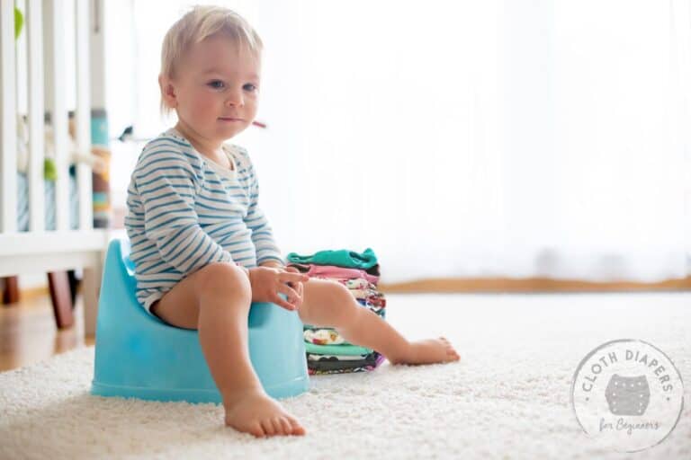 Potty Training for Beginners: The 101 Guide - Cloth Diapers for Beginners